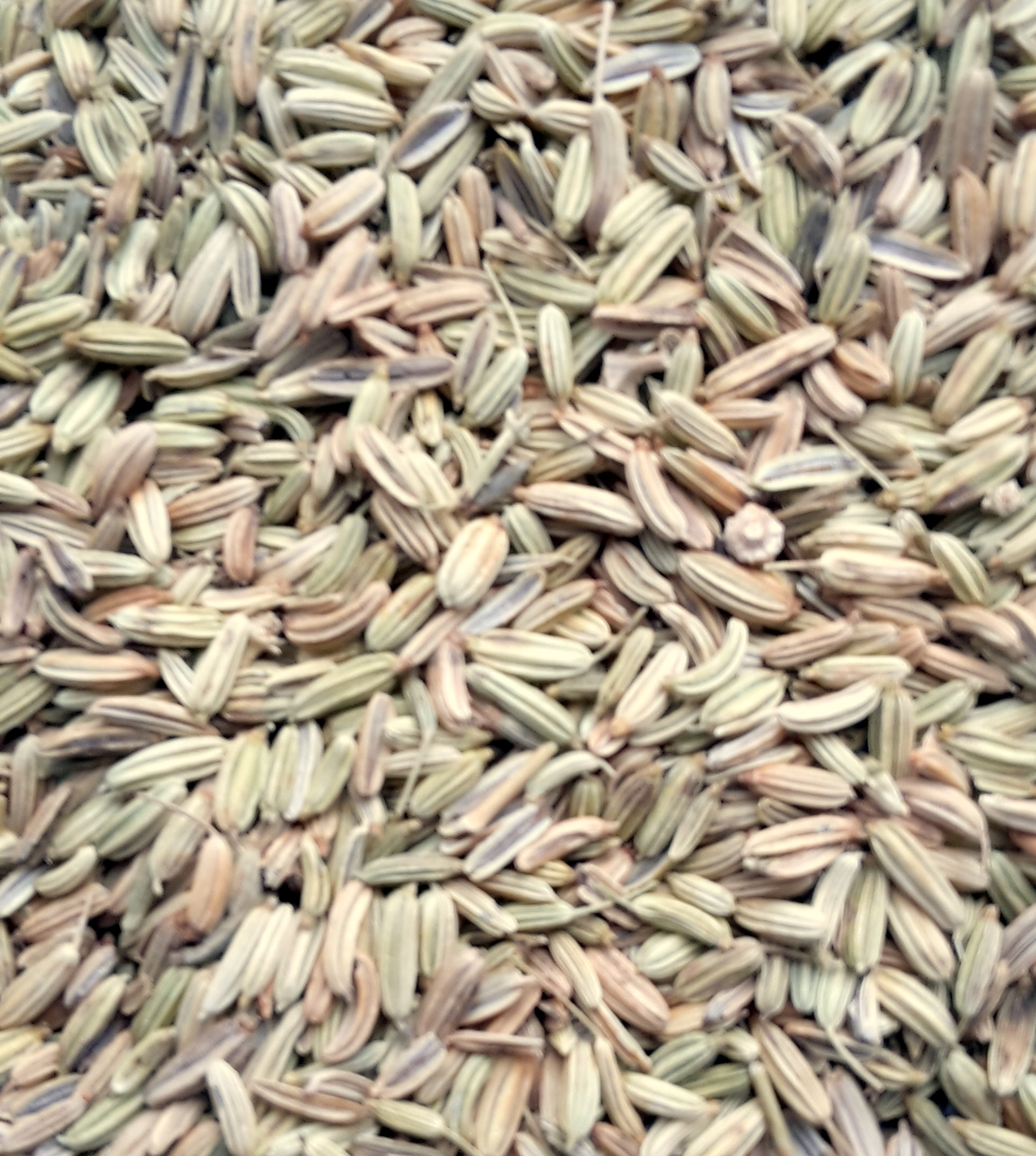 Venkel – Binnen Buiten Genieten